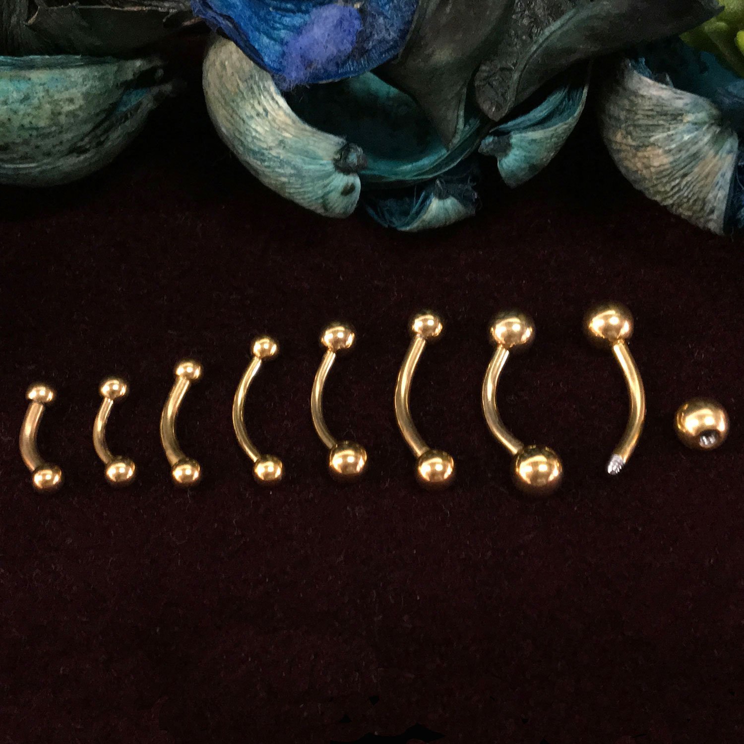 BodyJ4You Curved Barbell Stainless Steel 2G CR 12mm Ear Lobe Prince Albert Genital Piercing