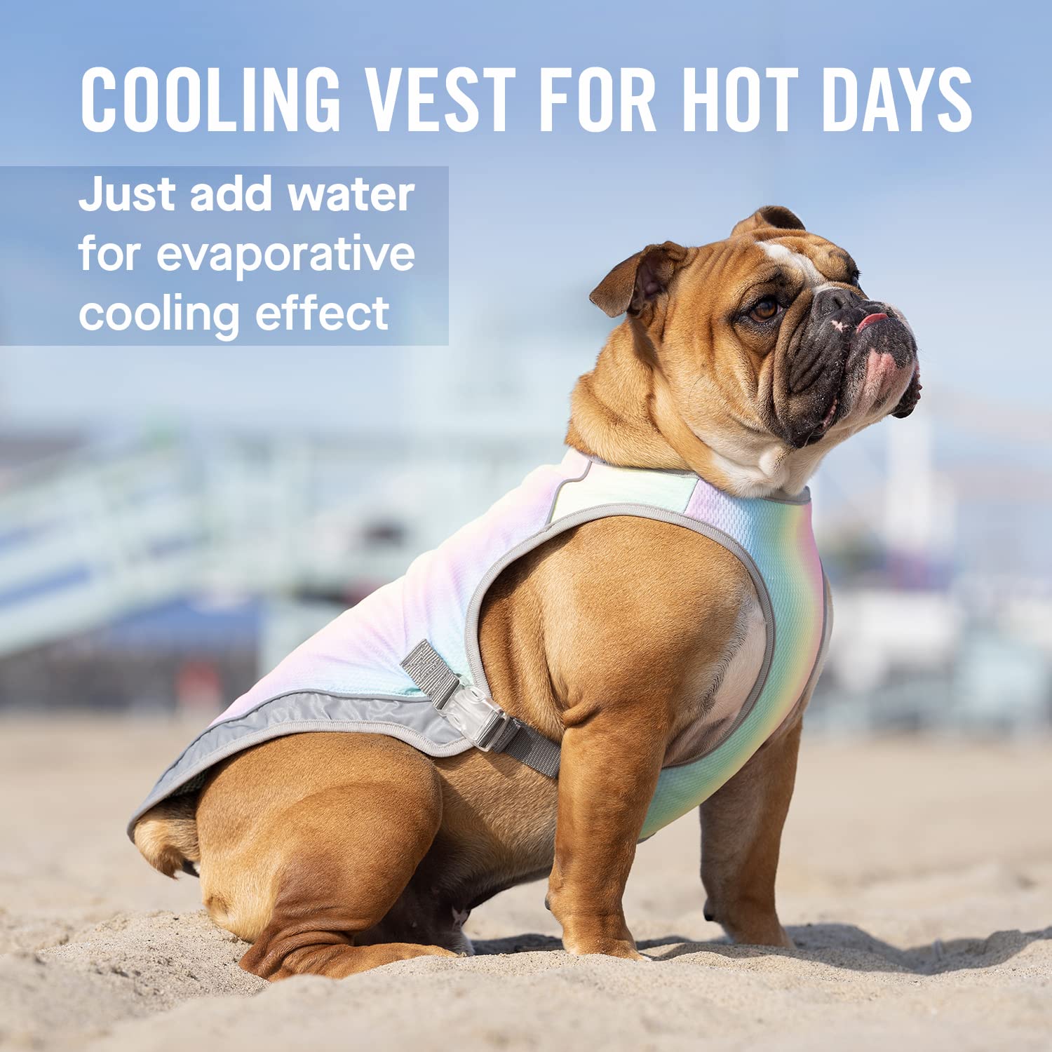 Canada Pooch Dog Cooling Vest - Evaporative Cooling Vest for Dogs with Breathable Mesh Material & Reflective Lining, Adjustable Dog Cooling Vest (26 (25-27" Back Length), Rainbow)