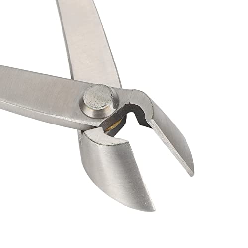 Hand Forged Bonsai Concave Branch Cutter, 165mm Round Concave Branch Cutter, Stainless Steel Bonsai Tree Knob Cutter Concave Cutter, Bonsai Cutting Tool for Garden