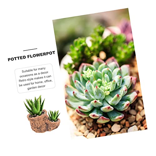 DOITOOL 1pc Stump Orchid Home S Indoor Garden Outdoor Flower Hole Plants Cactus for with Succulent Drainage Flowerpot Pot Bowl Planter Cement Decoration Desktop Container Bonsai Driftwood