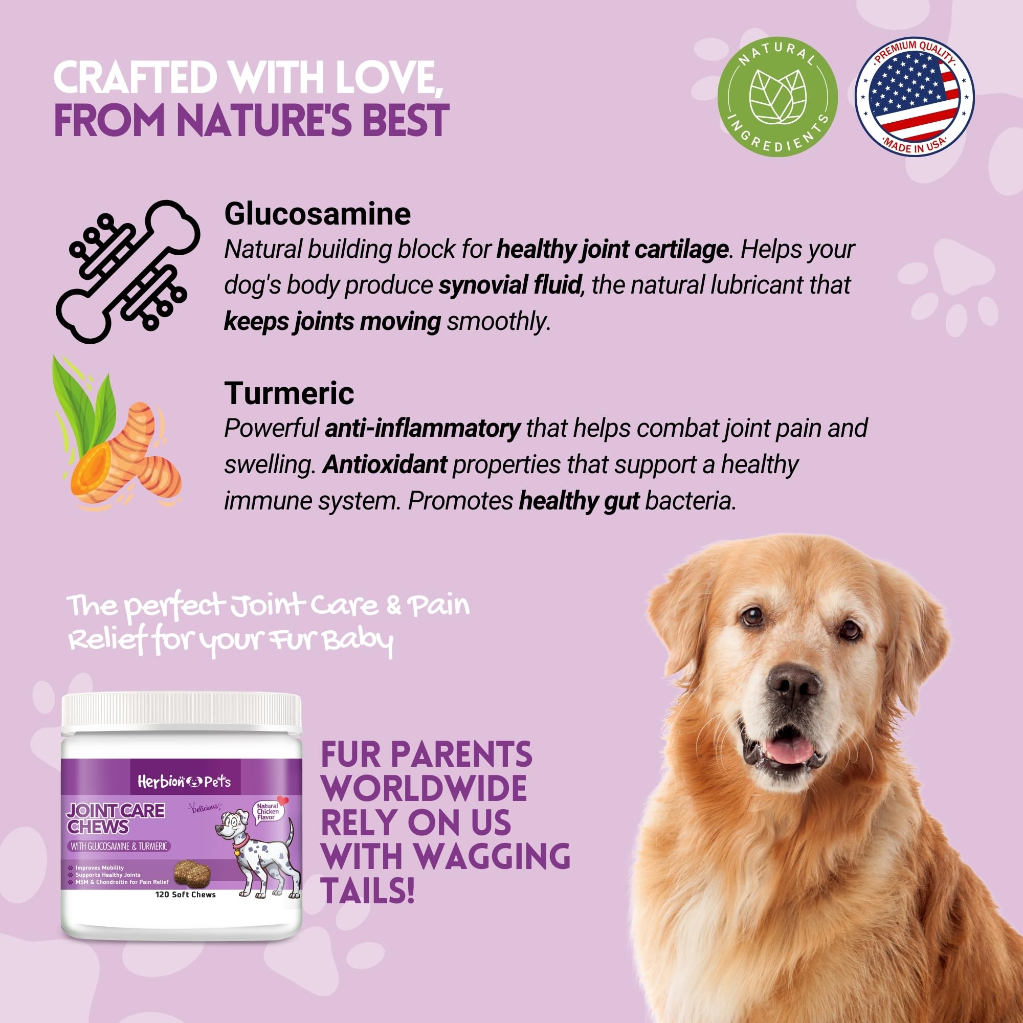 Herbion Pets Joint Care Chews with Glucosamine & Turmeric, 120 Soft Chews, MSM & Chondroitin for Pain Relief, Improves Mobility, Supports Healthy Joints, Made in The USA - for Dogs 12 Weeks+