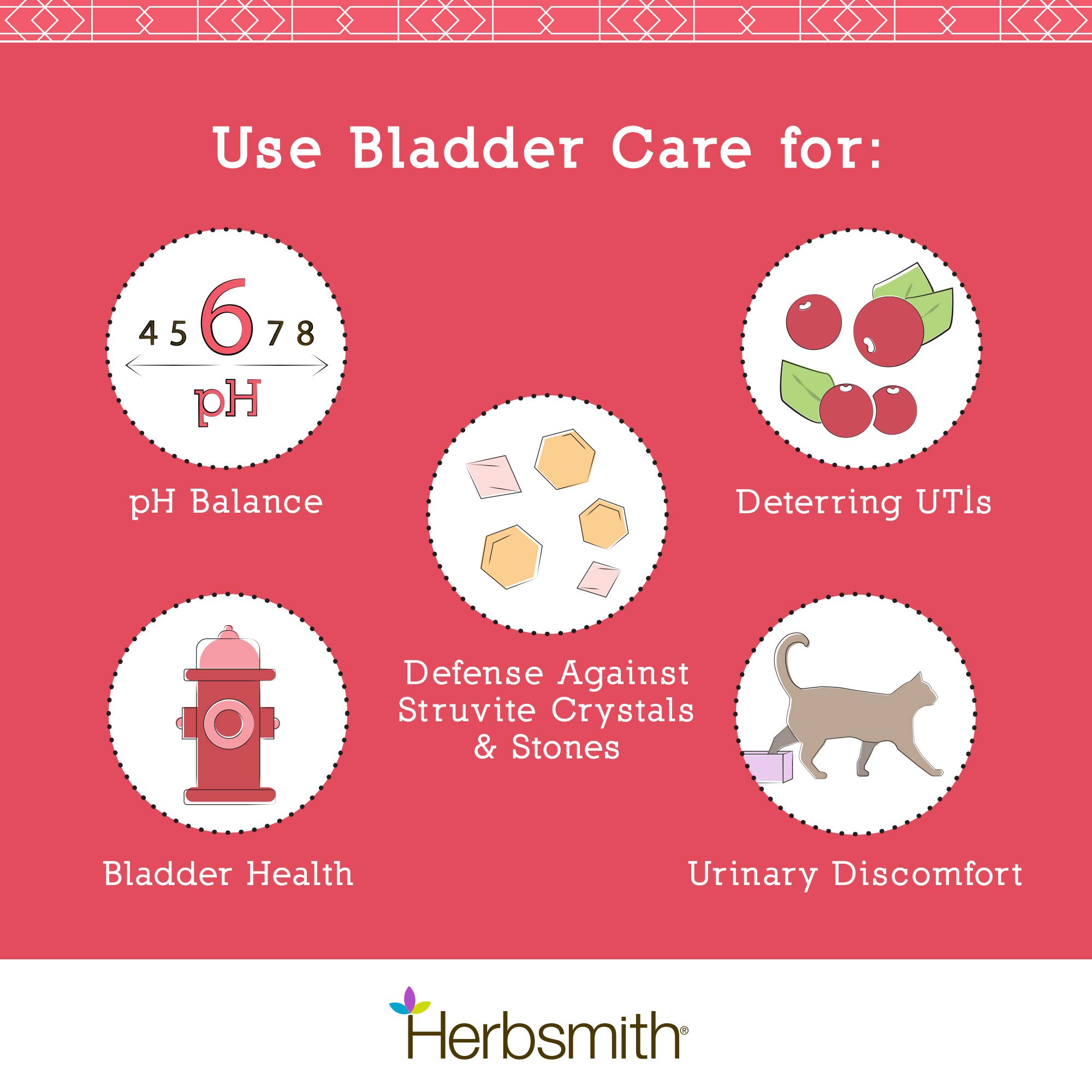 Herbsmith Bladder Care- Bladder Support for Cats- Urinary Tract Cat Supplement – Maintains Kidney Health for Cats– 75g