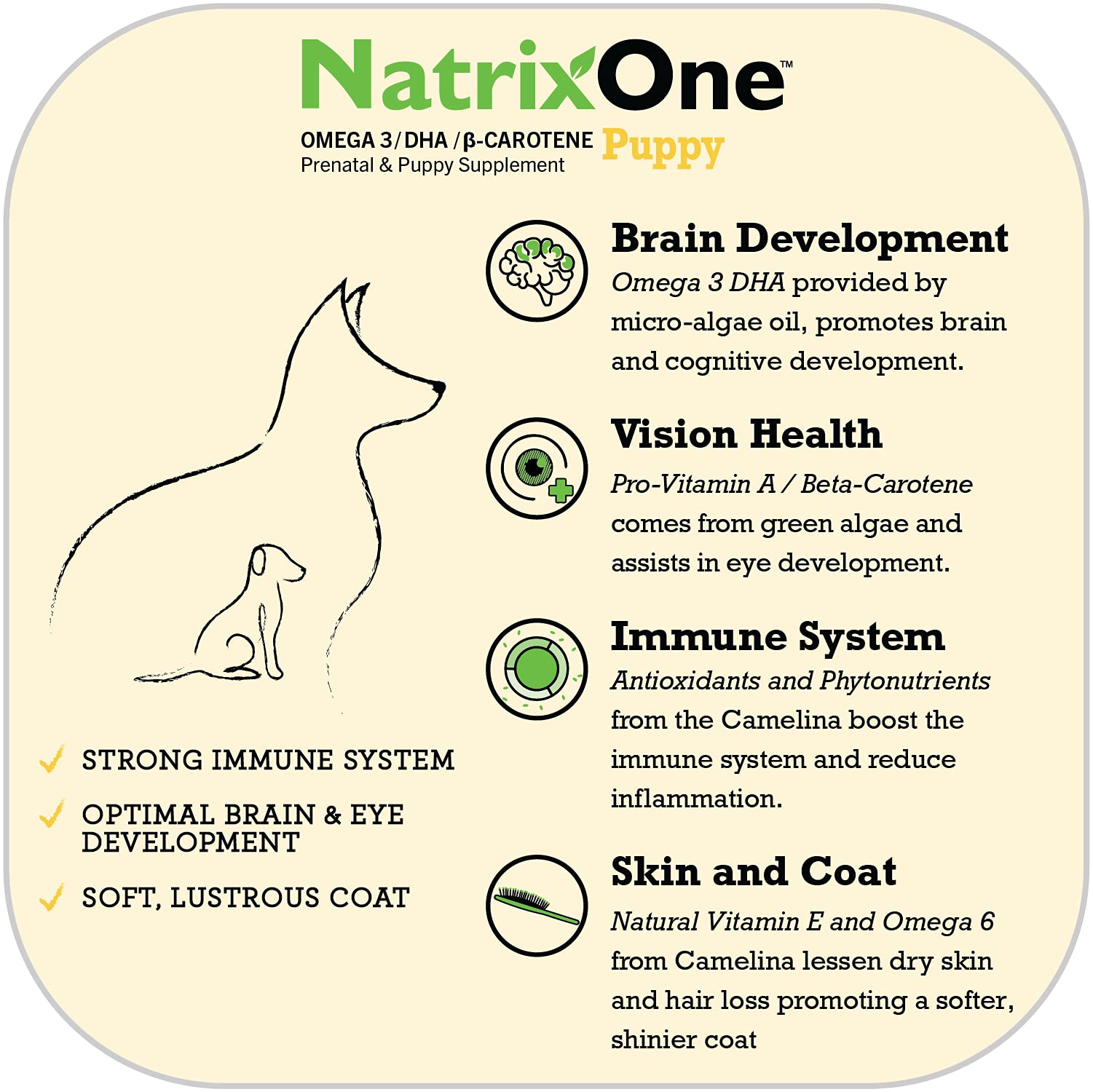 Puppy Vitamins and Supplements by Natrixone All-Natural Supplement for Puppies, Omega 3 6 9 Plus Immune System and Cognitive Development Booster, 8 Oz