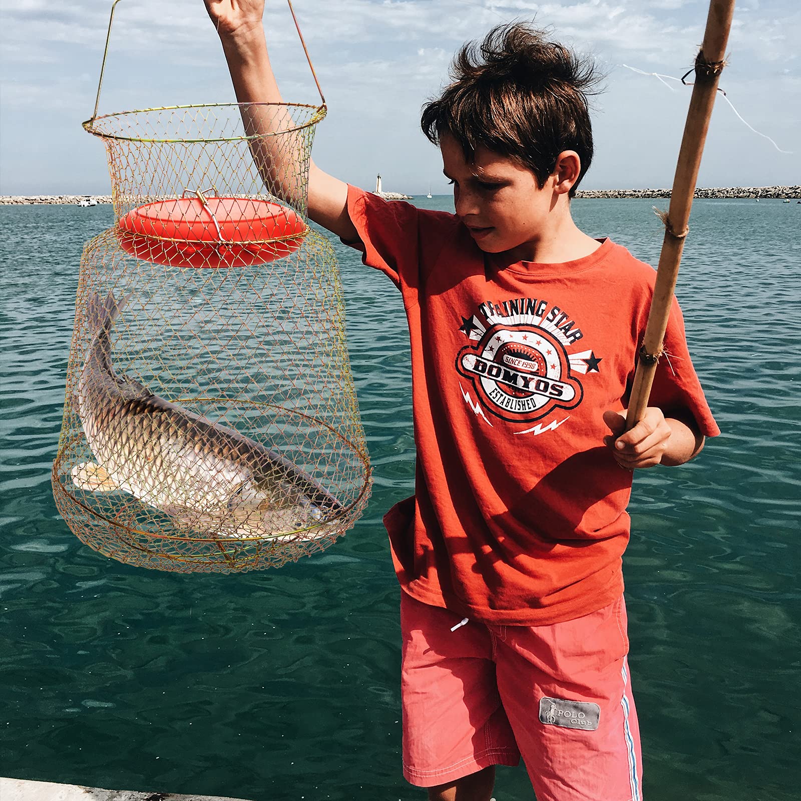 codree Galvanized Steel Wire Fish Basket, Collapsible Wire Fishing Basket, Portable Fishing Net Basket, Robust and Easy to Use