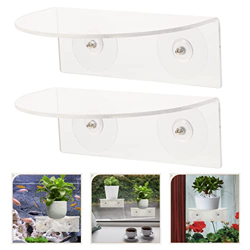 GANAZONO 1 Set Plant Support Plant Shelf Bonsai Stand Indoor Plant Pot Clear Plant Pot Wall Mount Floating Shelf Suction Cup Pot Racks Practical Plant Holders Suction Cup Plant Holders
