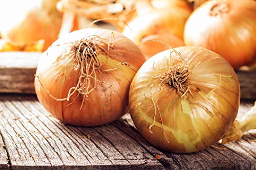 Gaea's Blessing Seeds - Onion Seeds - Non-GMO Heirloom Seeds with Easy to Follow Instructions (Walla Walla Sweet Onion) 93% Germination Rate