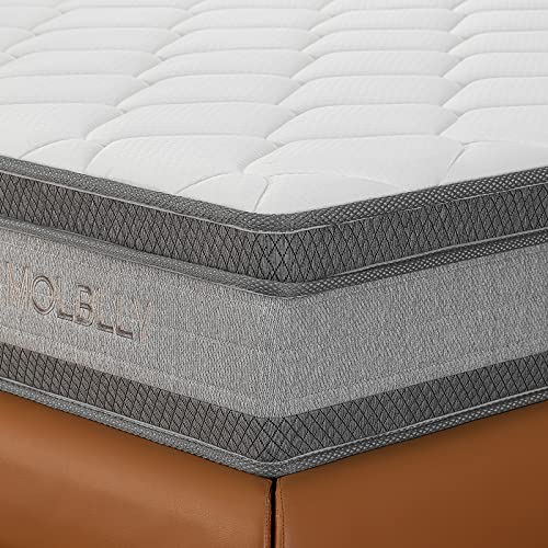 Queen Mattress, MOLBLLY 12 Inch Cooling-Gel Memory Foam and Individually Pocket Innerspring Hybrid Queen Bed Mattress in a Box, CertiPUR-US Certified,60β*80β, Medium Firm