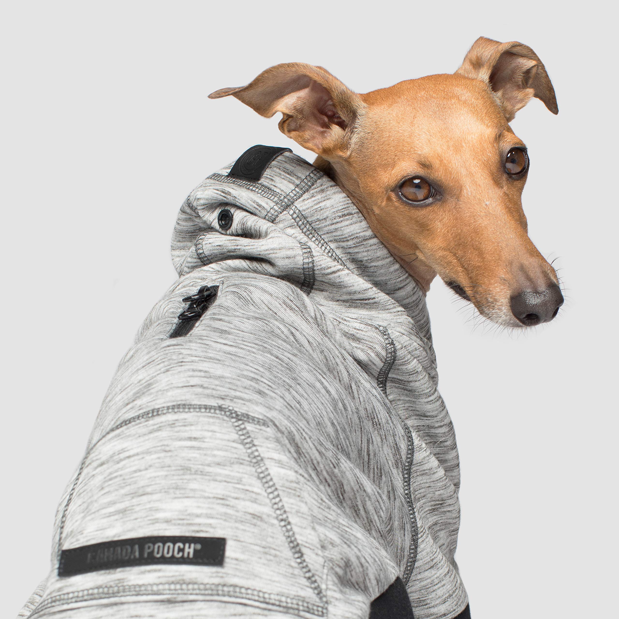 Canada Pooch Spacedye Hero Dog Hoodie Grey Size 18, Large, Gray