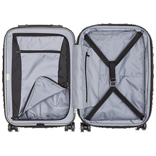 DELSEY Paris Titanium Hardside Expandable Luggage with Spinner Wheels, Silver, Carry-On 19 Inch