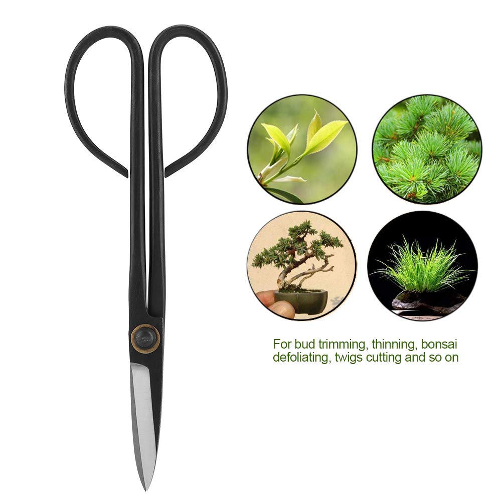 HERCHR Bonsai Scissors, Bonsai Shear Pruning Shears Japanese Bonsai Garden Tool, 205mm