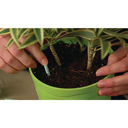 Miracle-Gro Indoor Plant Food Spikes, Includes 48 Spikes - Continuous Feeding for all Flowering and Foliage Houseplants - NPK 6-12-6