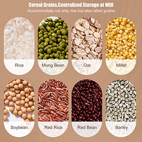 XGZ 6-Grid Grain Dispenser Rotating Kitchen Storage Containers Cereal Storage Containers Rice Dispenser Food Storage Containers Airtight Containers,27X32cm/10.6X12.6in