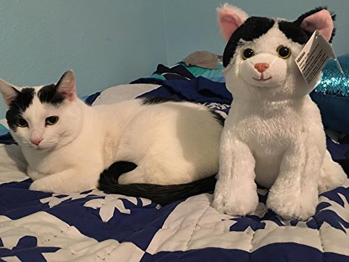 Shelter Pets Series One: Nibbles The Cat - 10" White and Black Kitten Plush Toy Stuffed Animal - Based on Real-Life Adopted Pets - Benefiting The Animal Shelters They were Adopted from