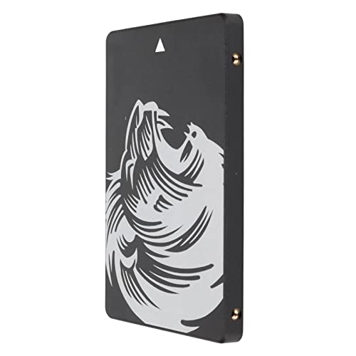 Desktop Laptop 2.5 inch SSD, CMOS Process SSD