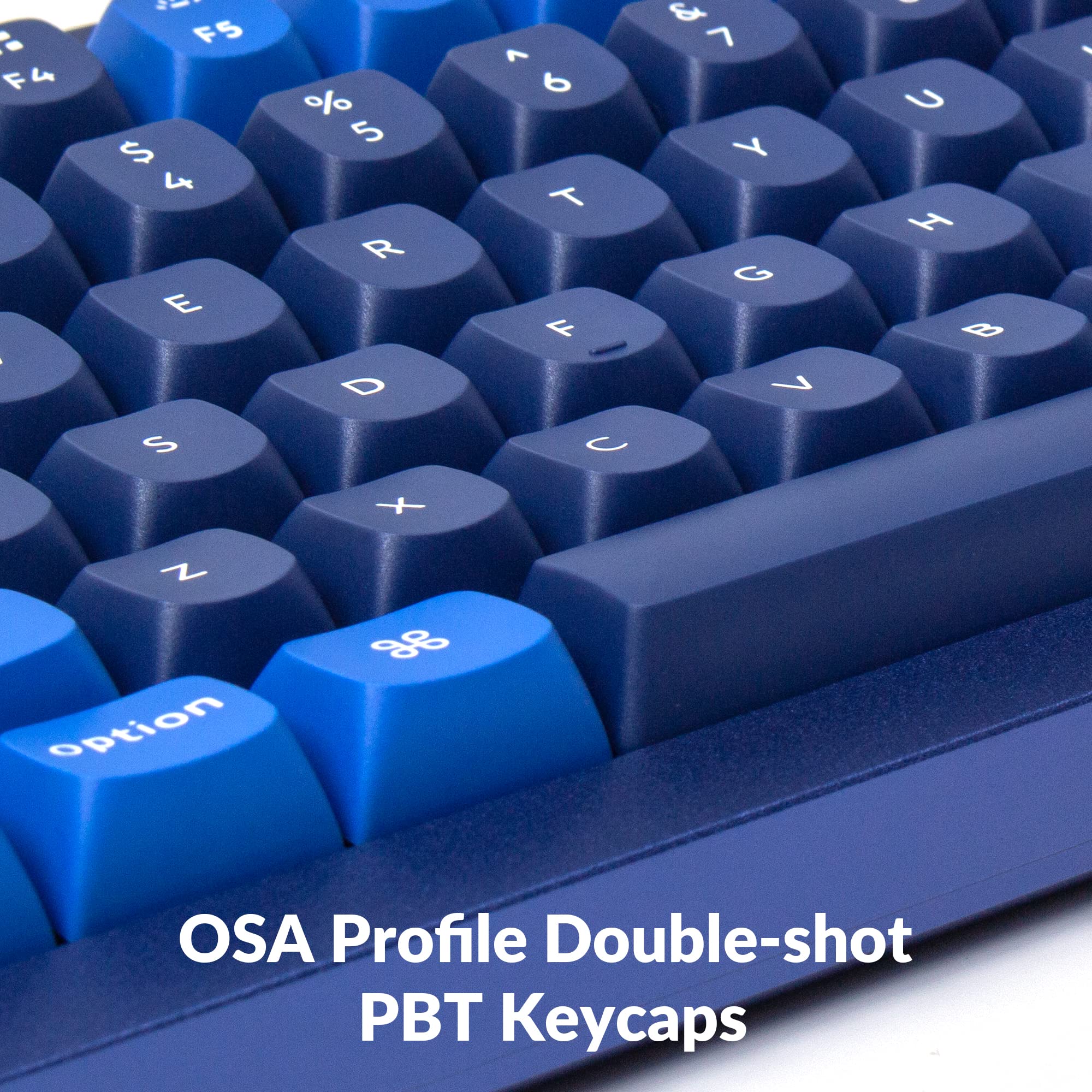 Keychron Q5 RGB QMK/VIA Programmable Macro Wired Custom Mechanical Keyboard with Hot-Swappable Gateron G Pro Brown Switch, 96% Layout Full Aluminum Double Gasket for Mac Windows Linux(Blue)