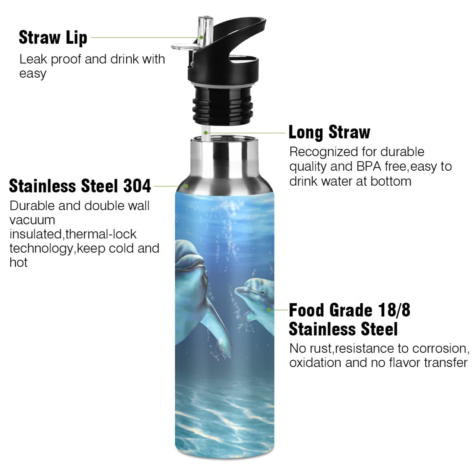 Dolphin Water Bottle with Straw Lid Thermos Ocean Kids Insulated Stainless Steel Water Flask 20 Oz Dolphins