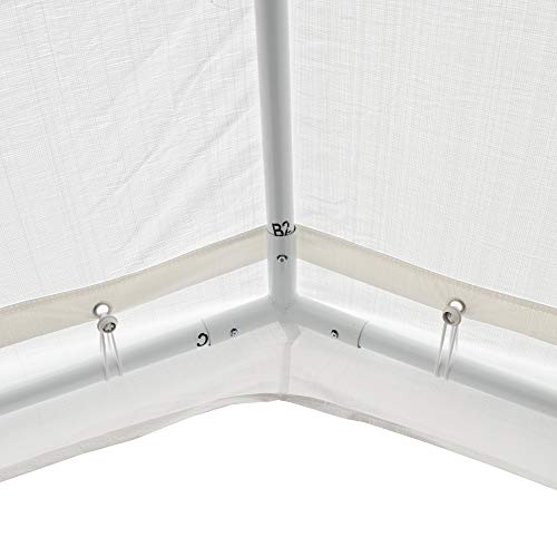 Caravan Canopy D2C20011 Domain Shelters Pro 200 10' x 20' Carport, Upgraded Version, White
