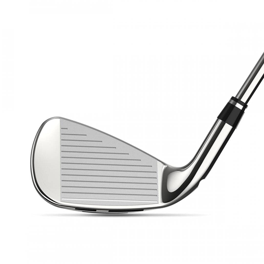 Wilson Staff Golf Clubs Iron Set, D9, 5-PW, SW, A-Flex, for Right-Handers, Graphite Shaft, 7 Clubs, Silver/Blue, WGR200060A