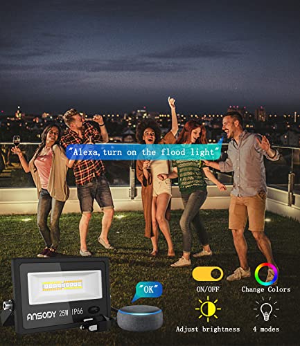 Smart Outdoor LED Flood Light,RGBW Landscape Light Stage Light Controled by APP/Alexa/Google Home,5000K 200W Equivalent IP66 Waterproof Timing Dimmable,Suit for Garden Party Halloween,2 Pack