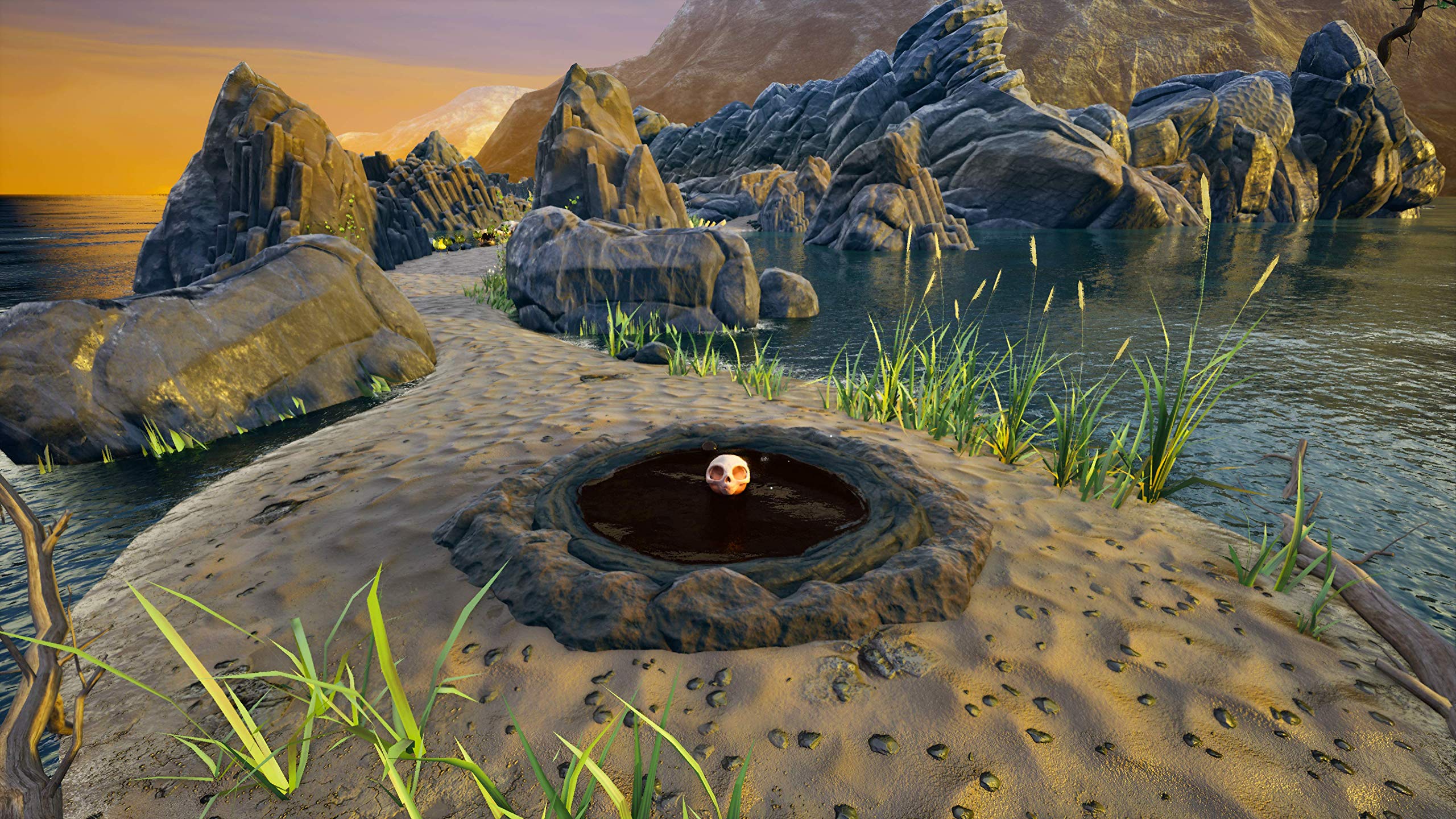 Skully Xbox One