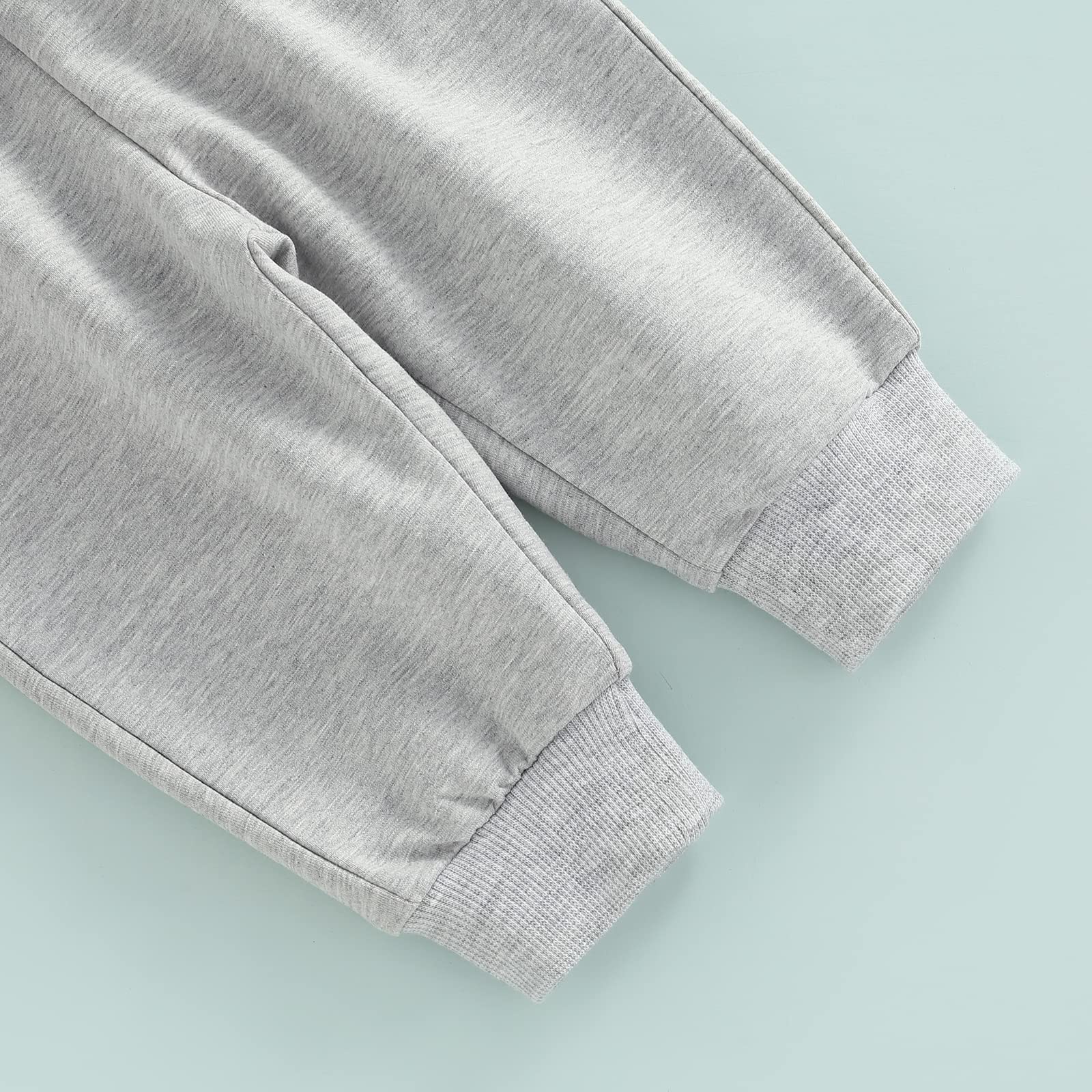 Endorothii Toddler Baby Boy Long Sleeve Solid Hoodies Sweatshirt Pants Outfit Set 2 Piece Sweatsuit Fall Clothes (Grey, 12-18 Months)