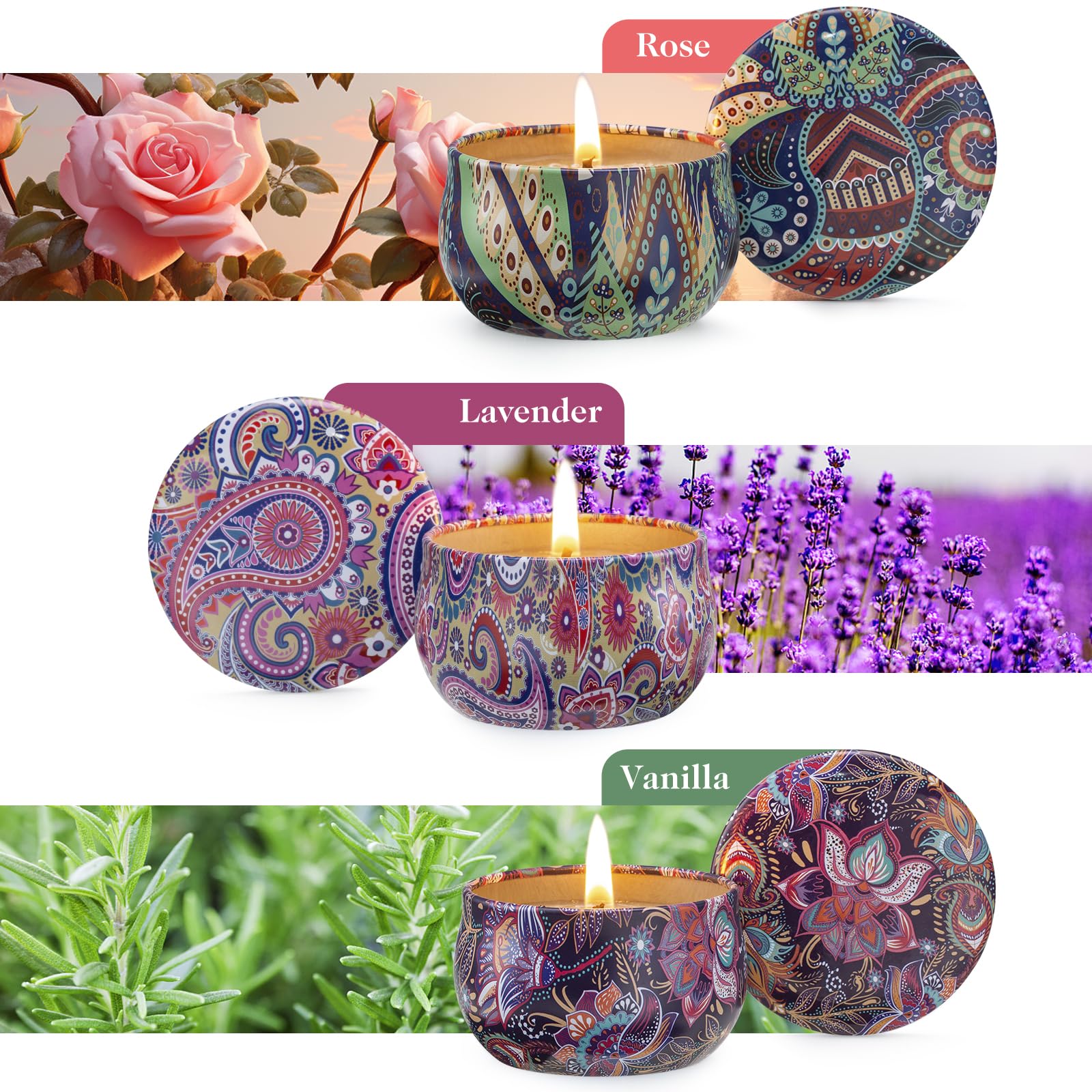 Hausware 3 Pack Scented Candles, 2.5 oz Aromatherapy Candles with Floral Scents,Soy Candles Set with 72H Burning Time,Ideal Gift for Women (Lavender+Vanilla+Rose)