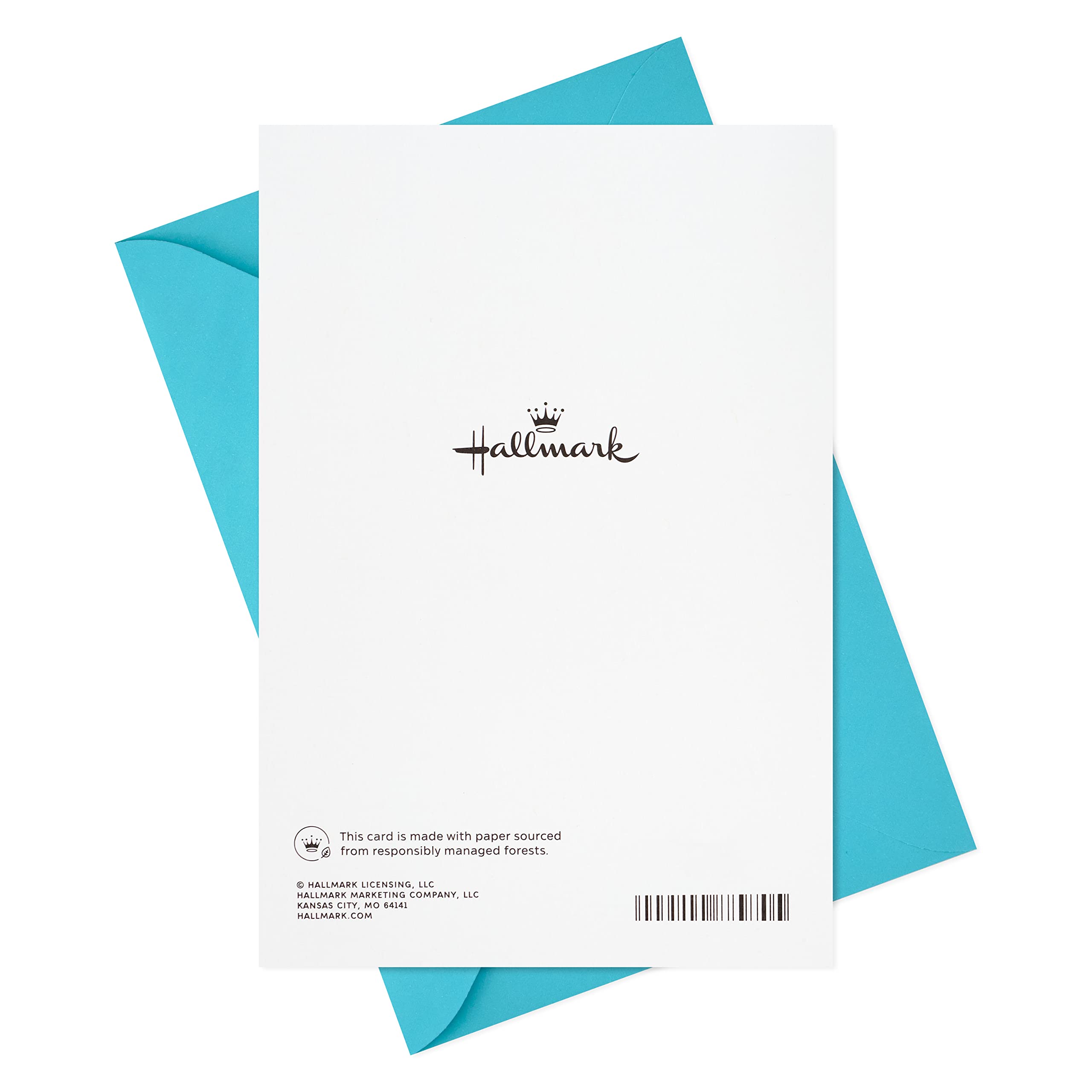 Hallmark Birthday Card (Good Wishes)