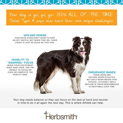 Herbsmith Athlete β Canine Endurance Supplement for Working and Agility Dogs β For the Canine Athlete β 75g Powder
