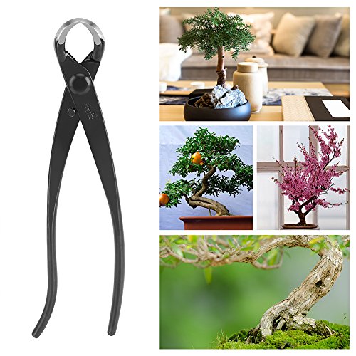 GLOGLOW 204mm 8inch Knob Branch Cutter, Garden Fruit Tree Hollow Concave Cutter Tool with Round Gardening Bonsai Tools Scissors