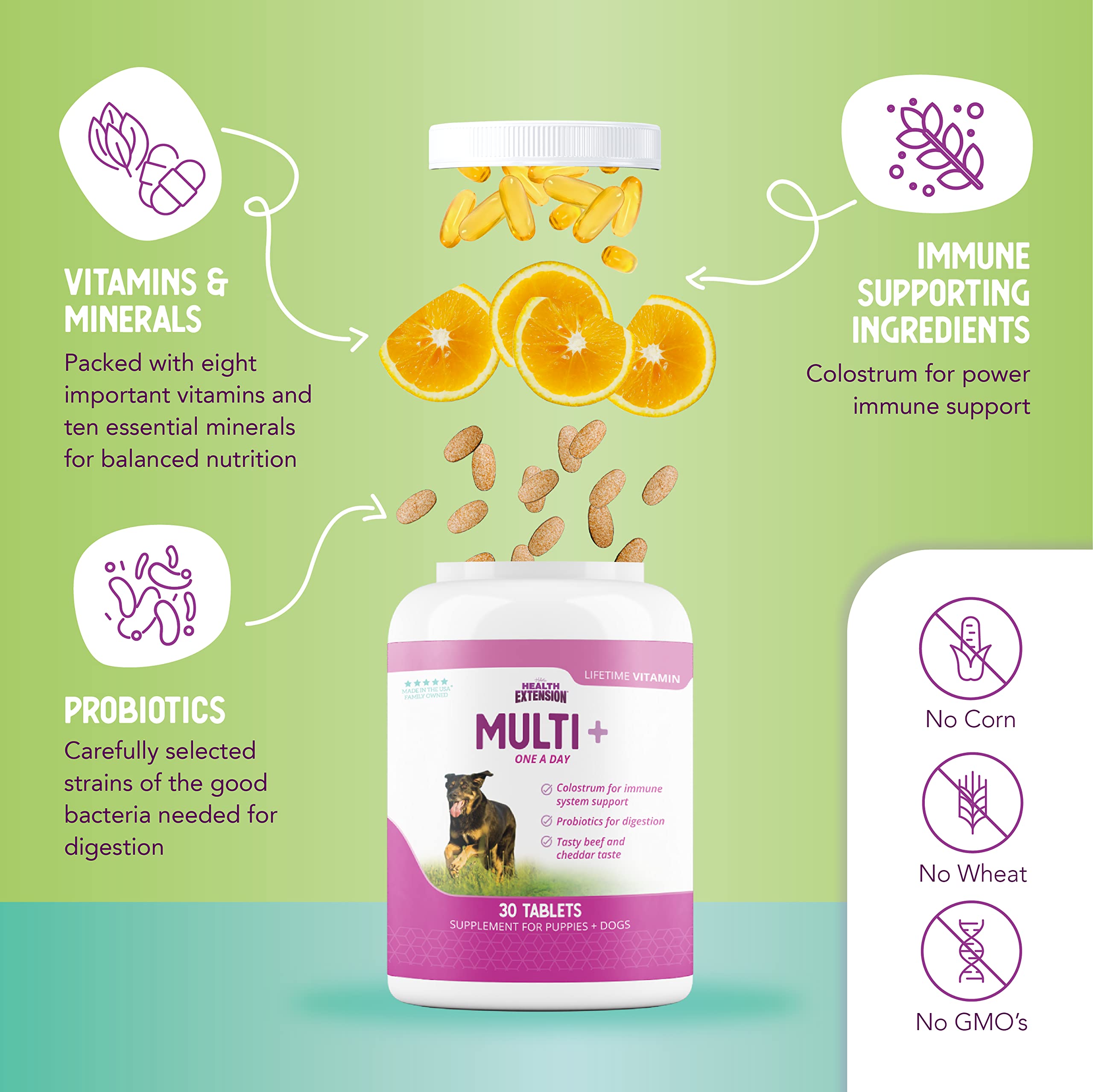 Health Extension Lifetime Multivitamin and Mineral Tablets for Dogs & Puppies, 30 Tablets - Immune, Digestion, Joint Support, Coat & Skin Health