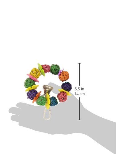 Super Bird Creations SB759 Daisy Ring Bird Toy, Small Bird Size, 6" x 4"