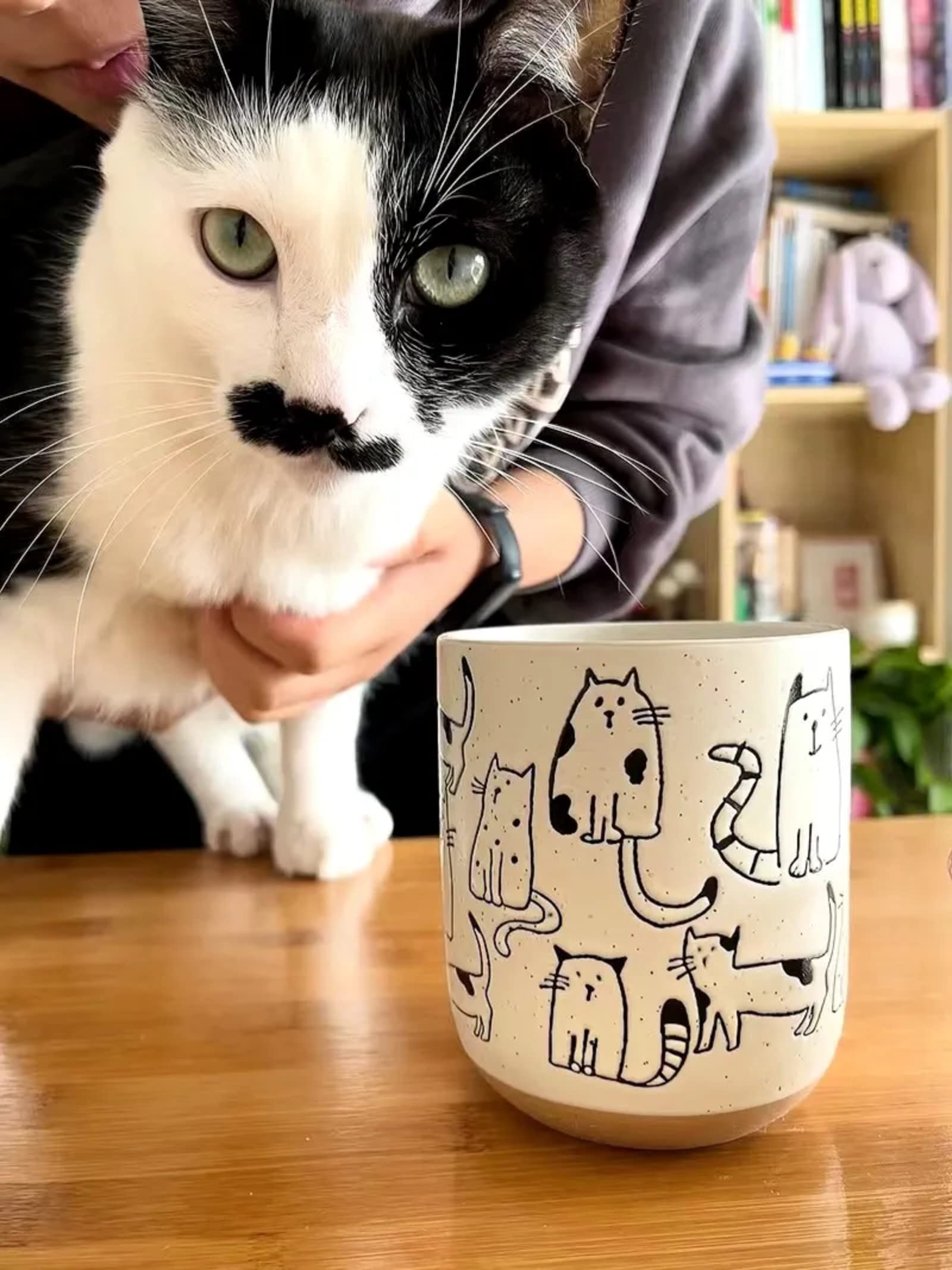 Heardbeli White-Grey Cartoon Cats Ceramic Mug with Handle Coffee Mug 550ml/18.6oz. Cute Funny Novelty Vintage Gift Hand Painted