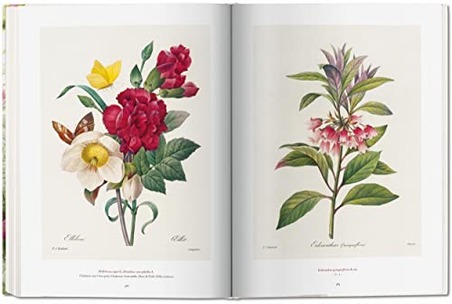 Redouté: The Book of Flowers / Das Buch de Blumen / Le livre des fleurs