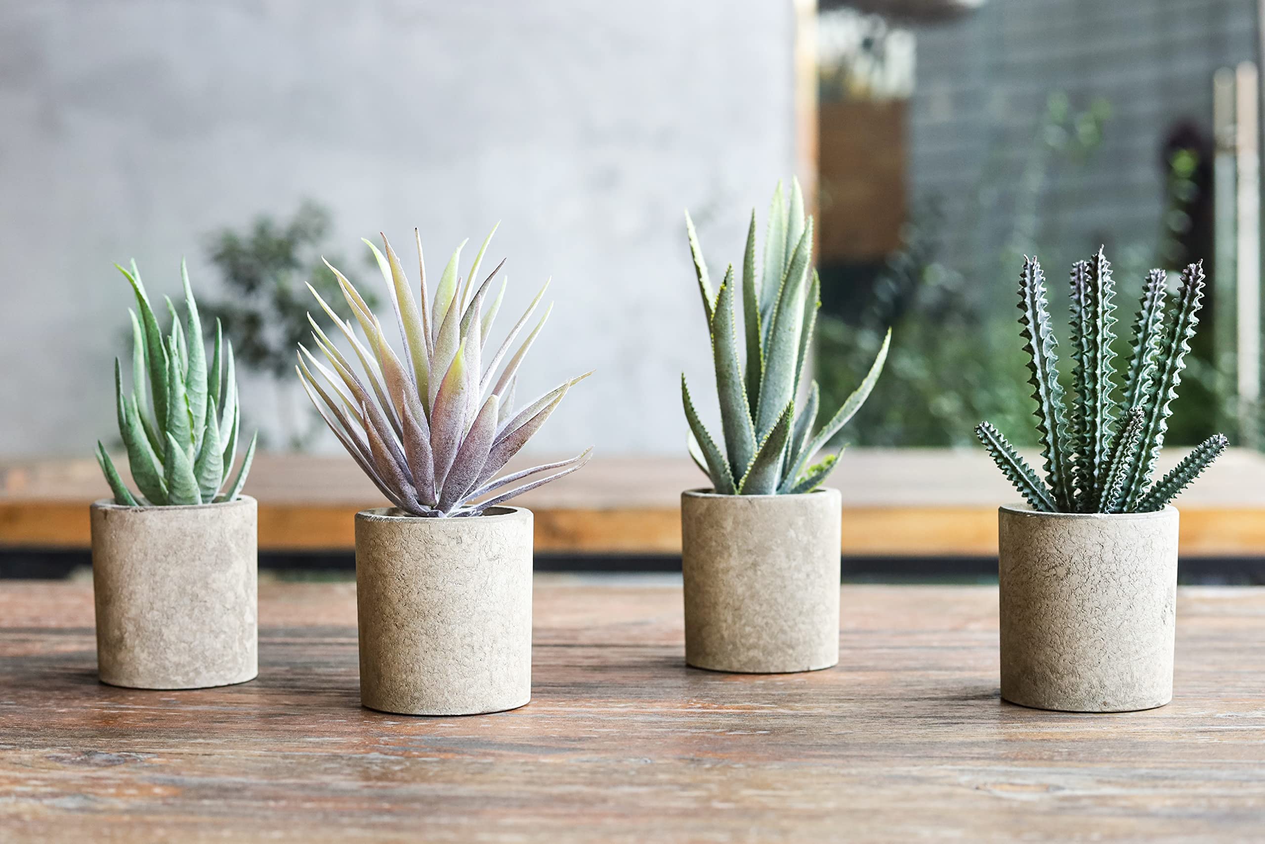 WUKOKU 4 PCS Small Fake Succulents Plants in Ceramic Pots Mini Artificial Potted Succulent Decoration for Desk, Shelves, Office and Home