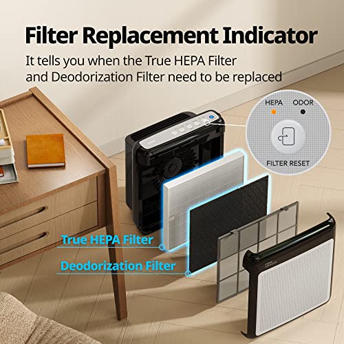 Coway AIRMEGA 200M True HEPA Air Purifier, 361 sq.ft, Black