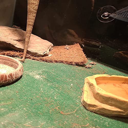 MUYG 2 Pcs Reptile Carpet Mat,Reptile Terrarium Carpet Substrate Floor Bearded Dragon Tank Liner Mats Supplies Soft Pet Habitat Bedding for Gecko Leopard Gecko Tortoise Snake 23.6" x 15.7"(Green)