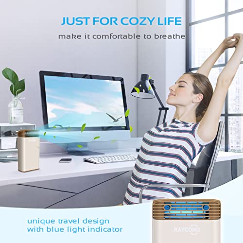 Raycono Pluggable Small Air Purifier, Small Room Wall Air Sanitizer for Pets, Office, Kitchen, Ozone Free, Removal of Odors, Dust, Portable Mini Air Cleaner