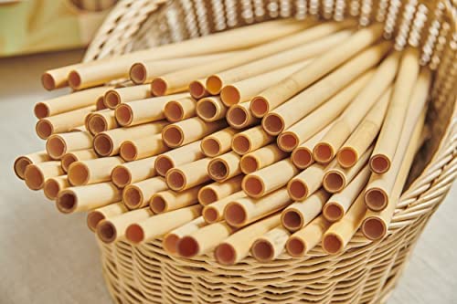EcoAmiga Bamboo Straw, 8 Inch Reusable & Biodegradable Organic Bulk Straws β Great Ecological Alternative to Plastic Straws (Reed)