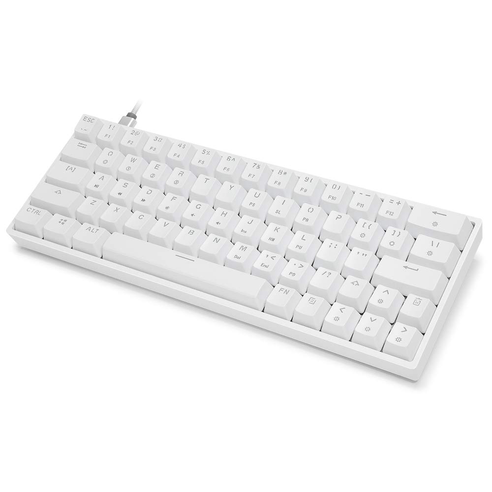 SK64 64 Tasti Hot Swap Tastiera Meccanica Cablata con RGB Retroilluminato ABS Tasti Freccia Tasti Impermeabile Programmabile per Win/Mac/Gaming (Gateron Ottico Marrone, Custodia Bianco)