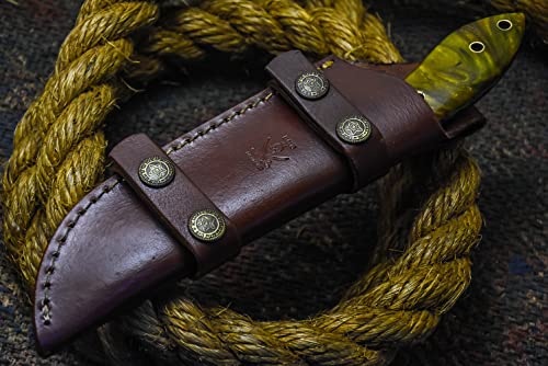Damascus Hunting Knife with RamHorn + Bone Handle - Survival - Camping - Damascus Steel - Damascus Hunting with Sheath Fixed Balde-EveryDay Carry,Comabt,Hunting Skinning,Fire Starter,Ram Horn Handle With Brass Bolster. Art No26376