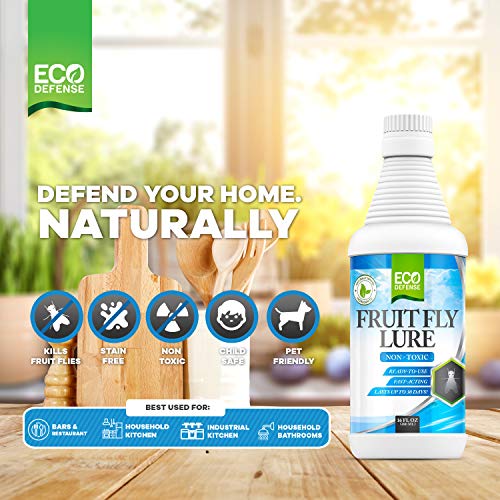 Eco Defense Fruit Fly Killer β Natural Fruit Fly Trap & Drain Fly Killer Treatment for Indoor Fly Control in Kitchen, Restaurants, and More 16 oz