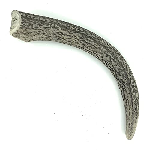 Deer Valley Dog Chews (Giant Single, 8-10 Inches) Sustainably-Sourced Deer Antler for Extra Large Dog Breeds - Durable Dog Chew Bone for Aggressive Chewers