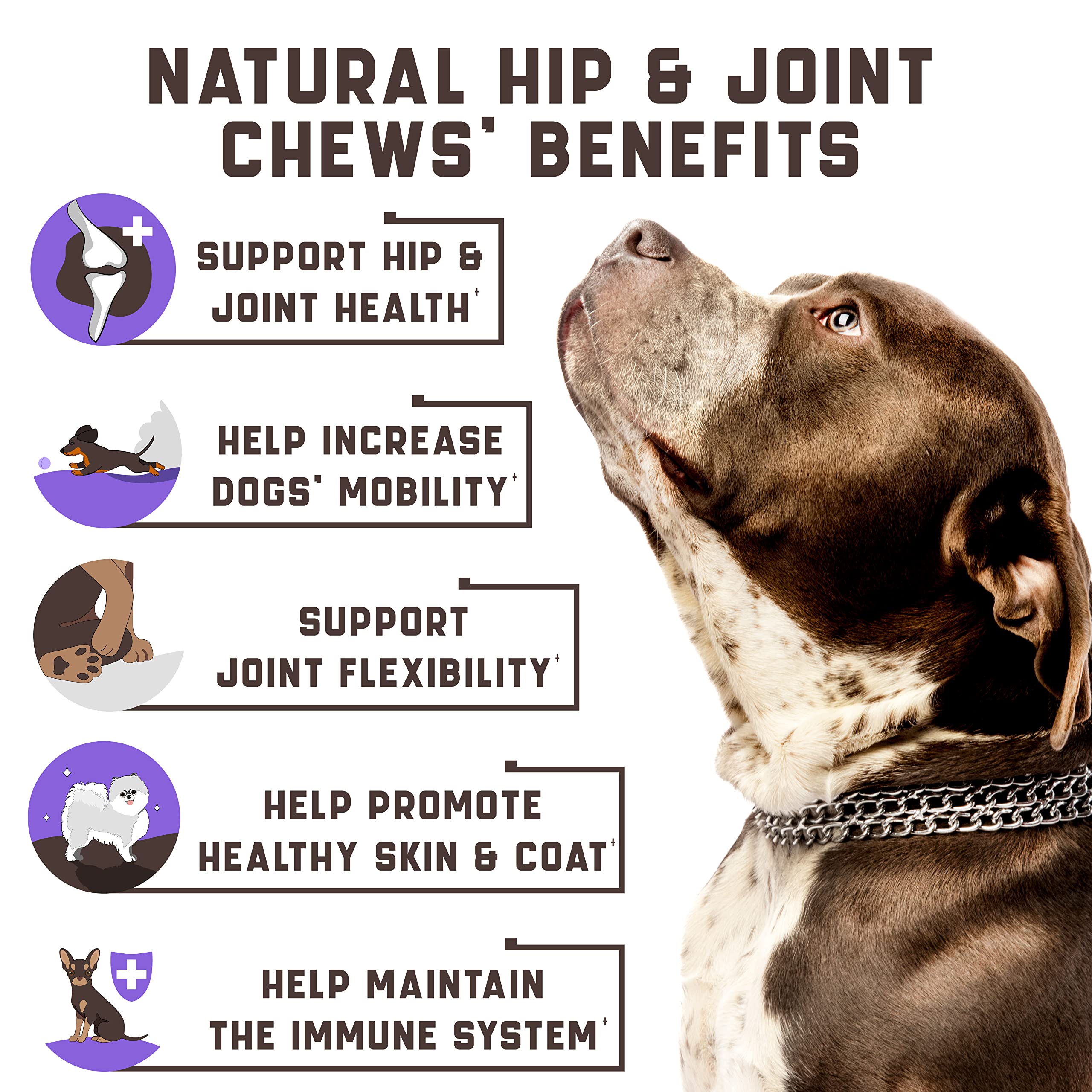 Hemp Joint Supplement for Dogs - Dog Joint Supplement with Glucosamine, Chondroitin, MSM - Supports Hip and Joint Heath, Better Mobility, Skin and Coat - for All Breeds and Ages - 180 Dog Chews, Duck