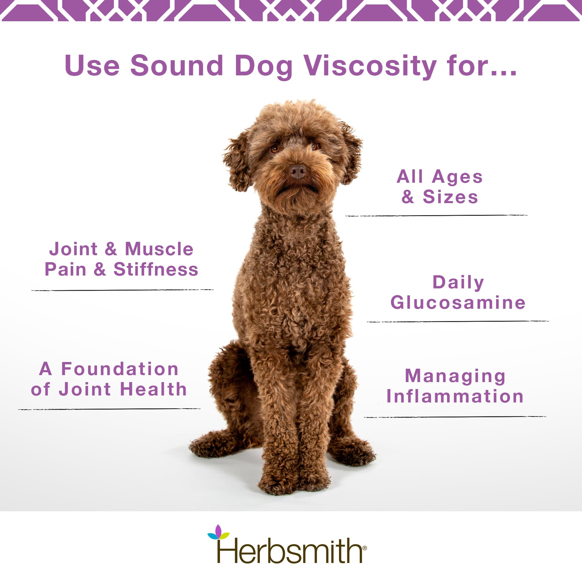 Herbsmith 75g Powder Advanced Joint Support Sound Dog Viscosity Veterinarian Recommended Glucosamine for Dogs