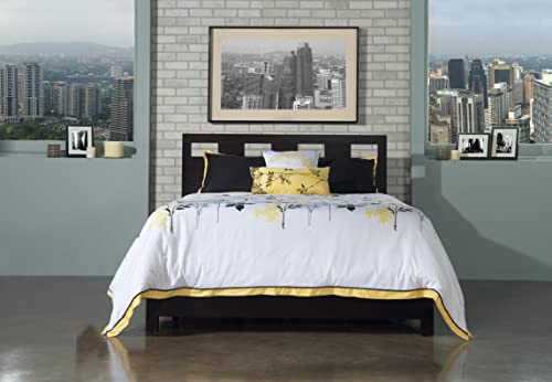 Modus Furniture Solid Wood 2-Side Storage Bed, California King, Riva - Espresso