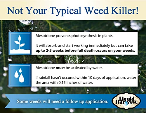 Mesotrione - 16 Ounces - (Compare to Tenacity) - Turf Herbicide