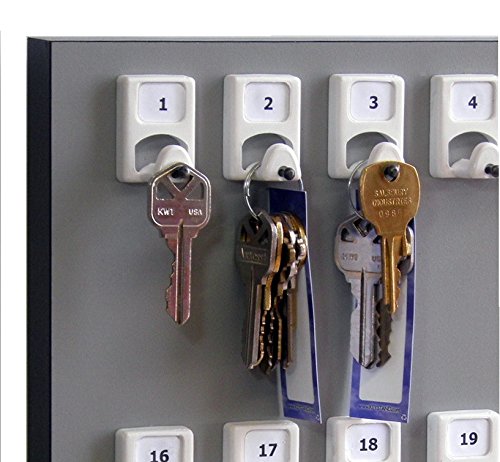 KEYSTAND # 100PGS, 100 Numbered Hooks for Car Rentals & Large Warehouses (100 Tag & Ring Included)