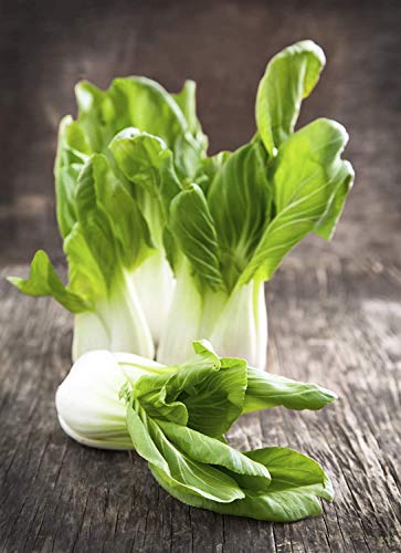 Gaea's Blessing Seeds - Bok Choy Seeds (2.0g) Canton Pak Choi Chinese Cabbage Non-GMO Seeds with Easy to Follow Planting Instructions - Heirloom 90% Germination Rate