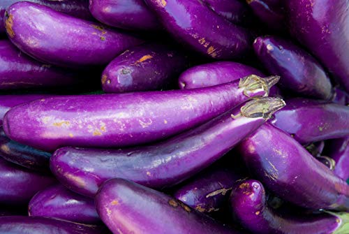 Gaea's Blessing Seeds - Eggplant Seeds - Long Purple Heirloom Non-GMO Seeds with Easy to Follow Planting Instructions - 91% Germination Rate Net Wt. 1.0g