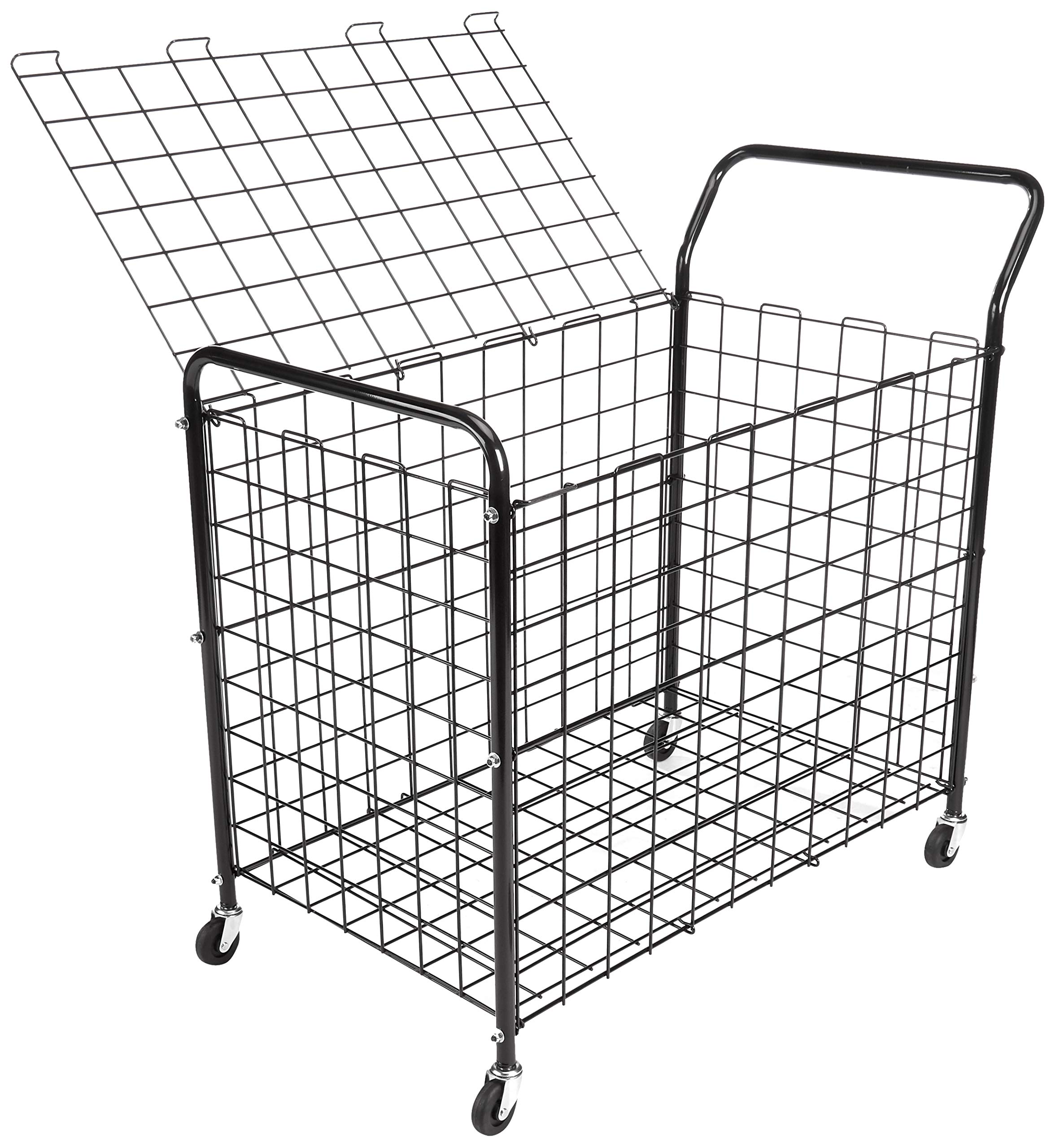 BSN Standard Portable Ball Locker, Black